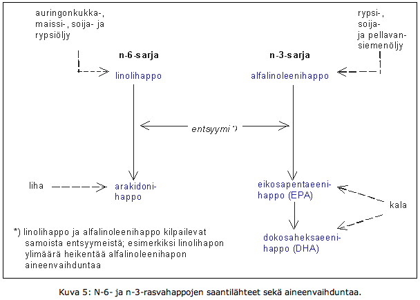 Ravinnon rasva ja matala-asteinen tulehdus (osa 2) - PRONUTRITIONIST